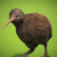 Māori Kiwi Names | Frontier Forums